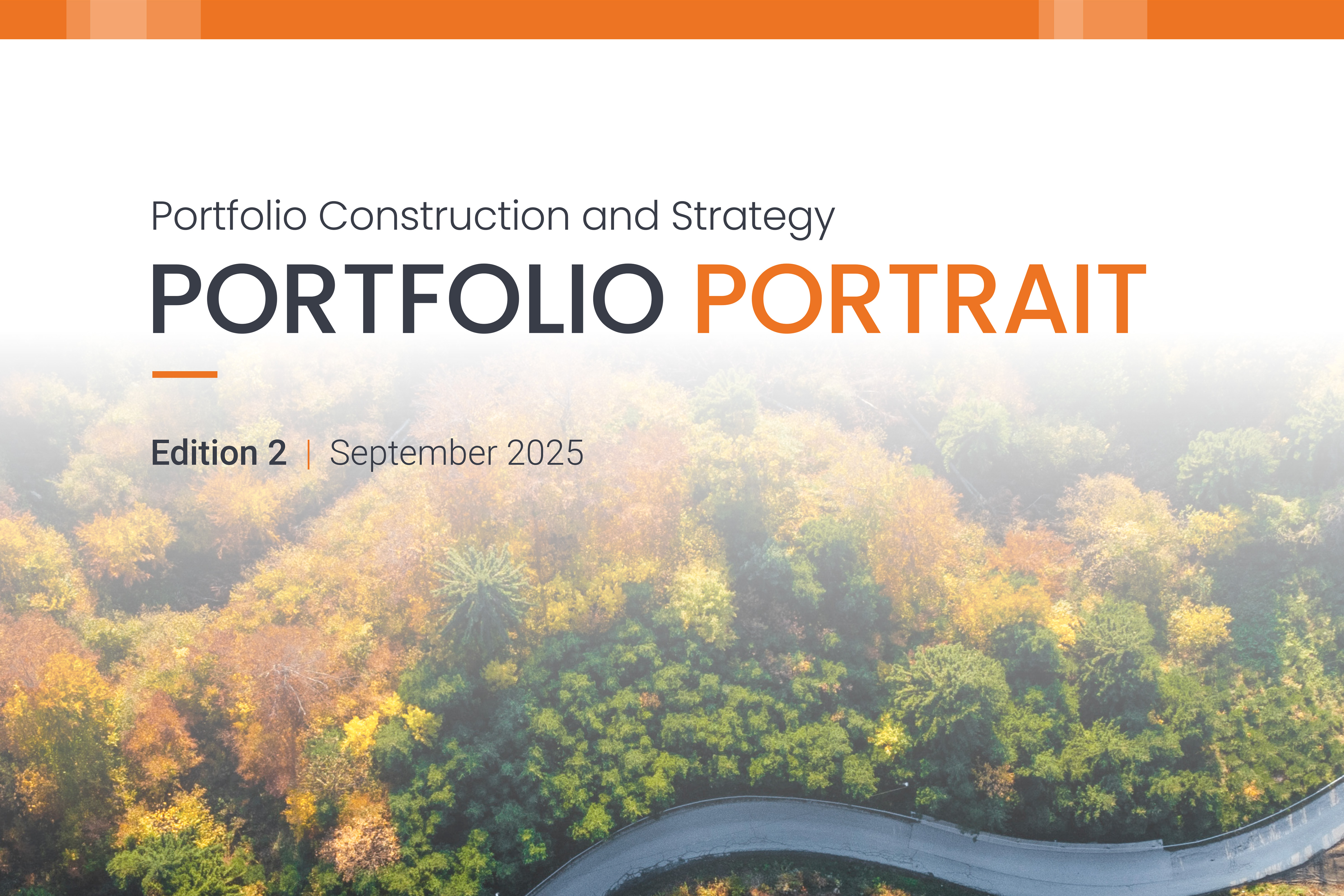 Portfolio Construction and Strategy: Portfolio Portrait